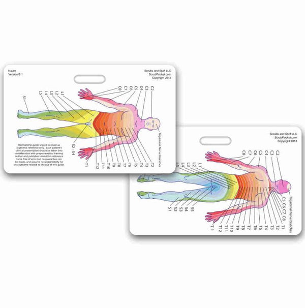 Reference Card - Dermatome | ShaGha