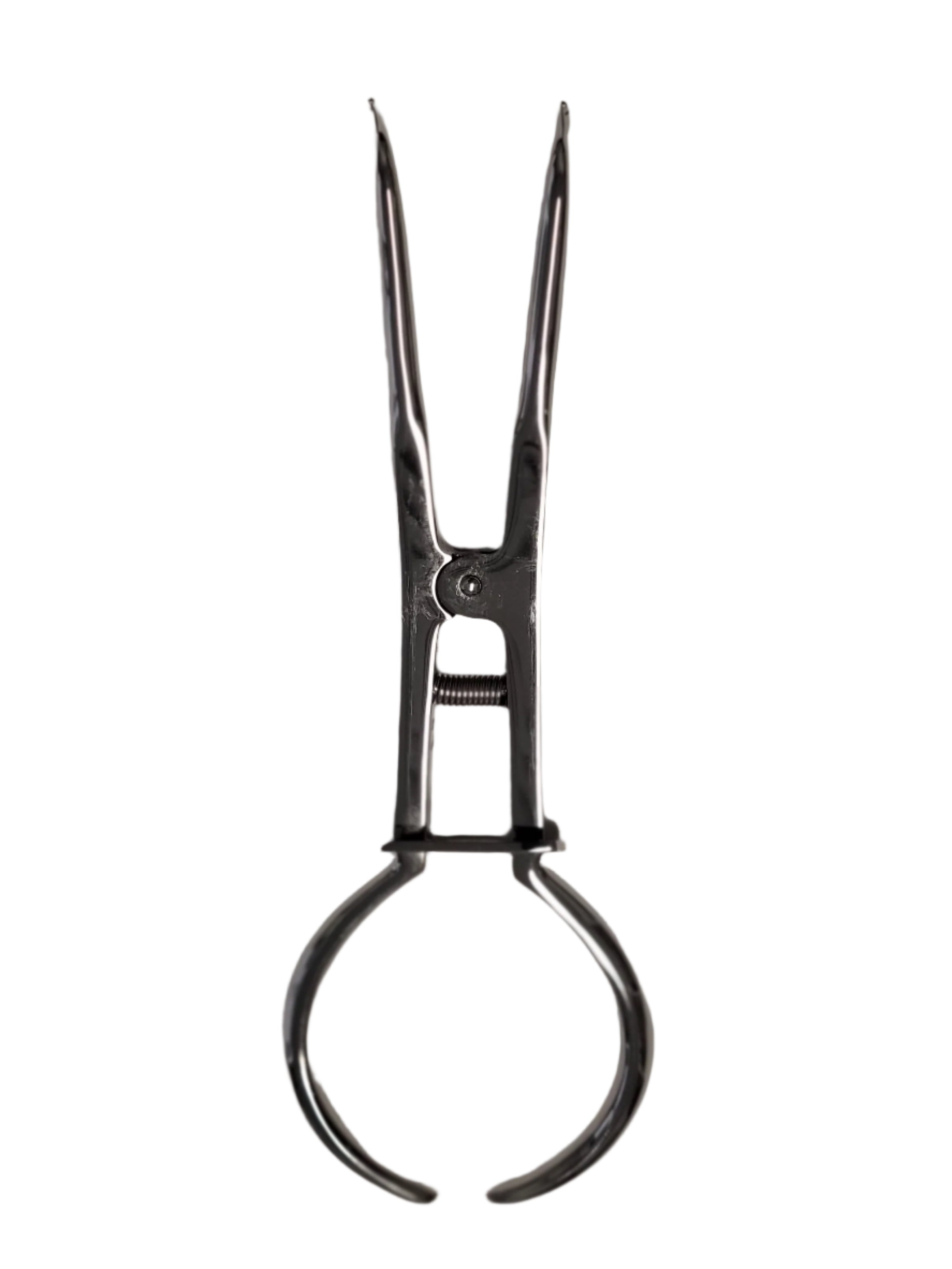 Ivory Rubber Dam Forceps | ShaGha